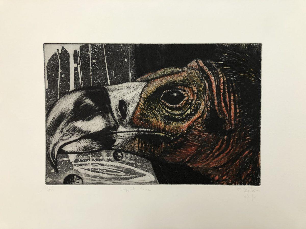 Geoff Dixon – New Zealand/Australian artist – Bowen Galleries