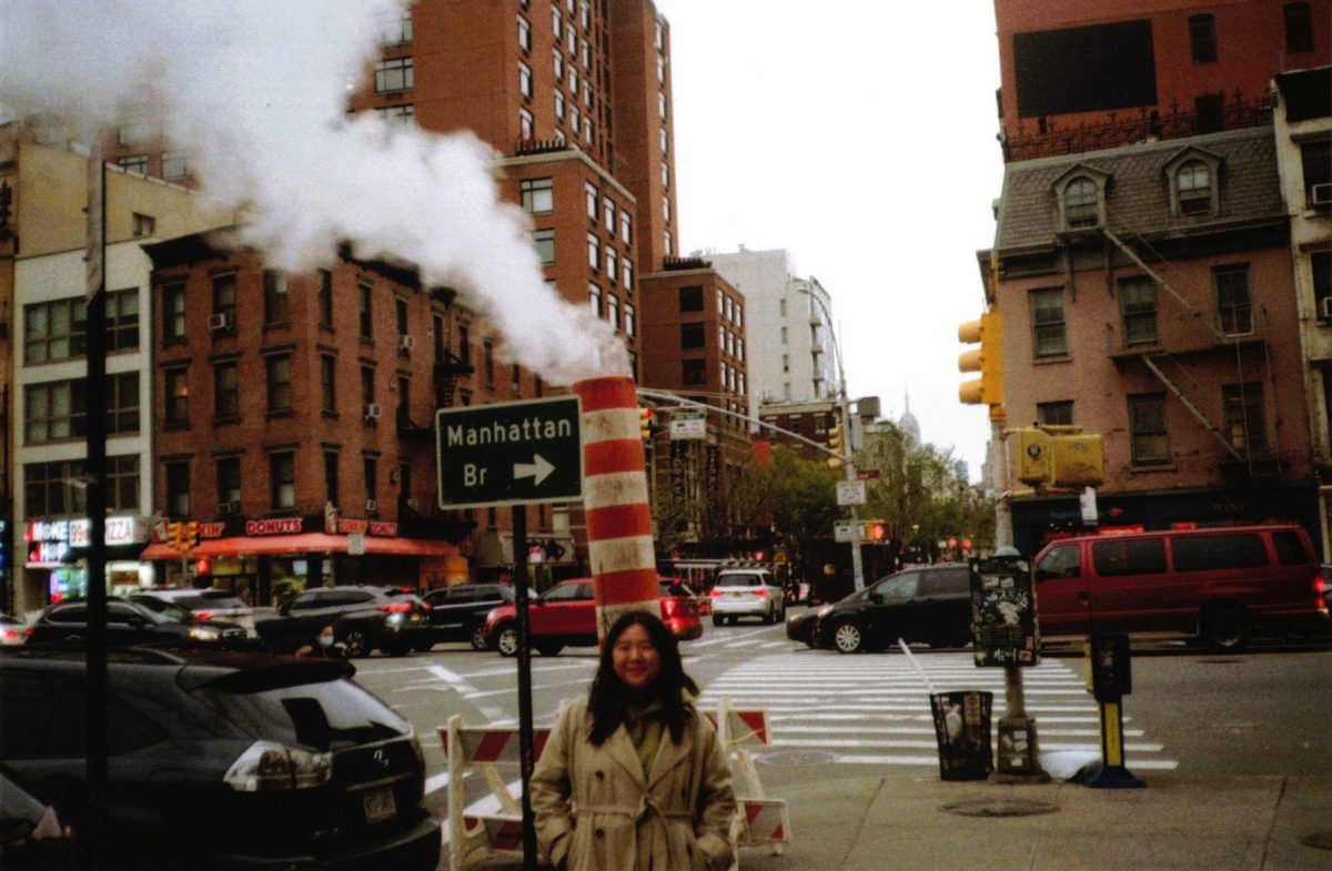 Clarissa Lim New Zealand artist – Bowen Galleries